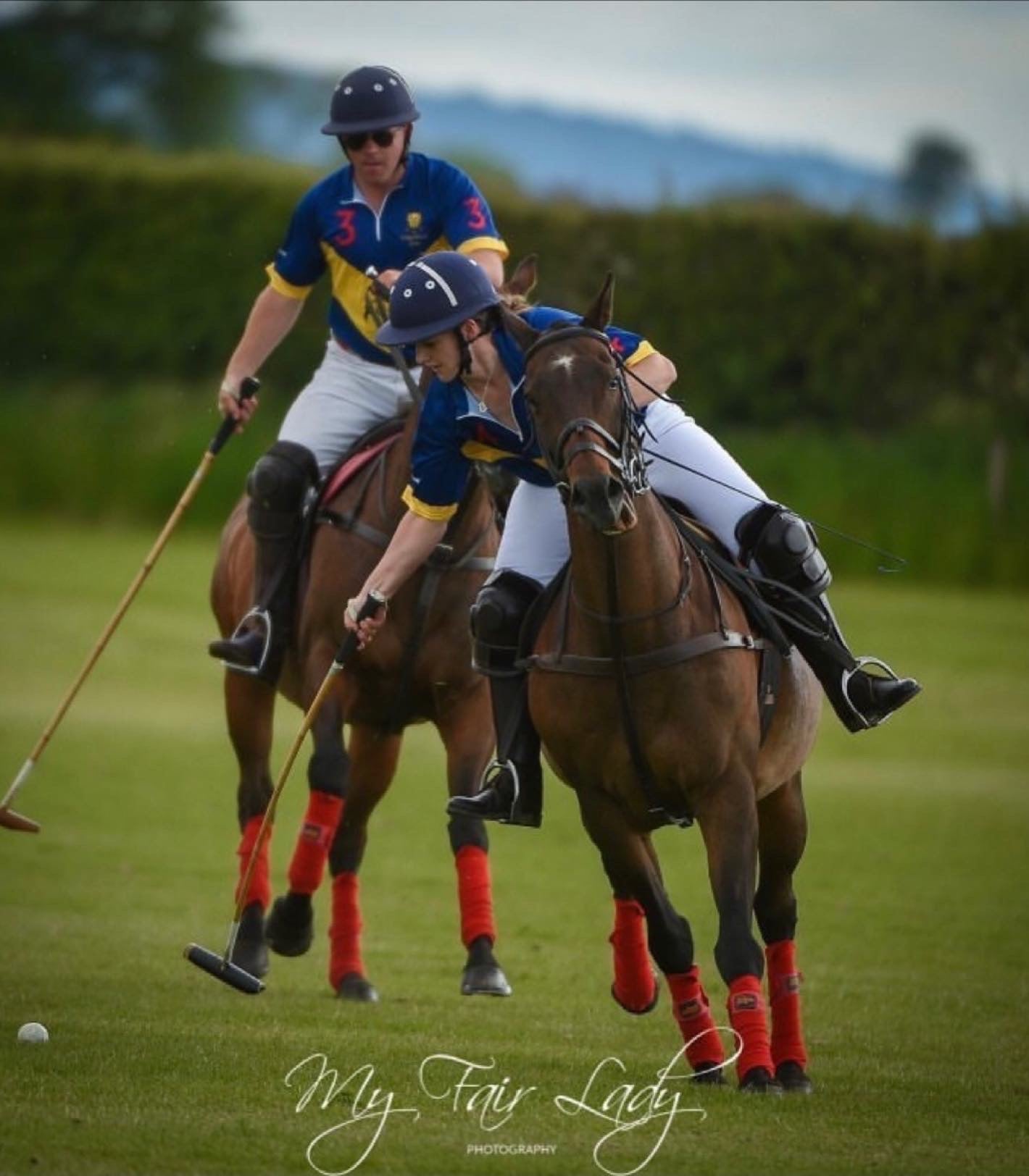 Wonder Whip – The Tack Shop